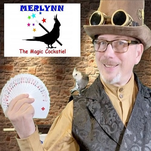 Merlynn TMC – "TMC" is short for "The Magic Cockatiel"